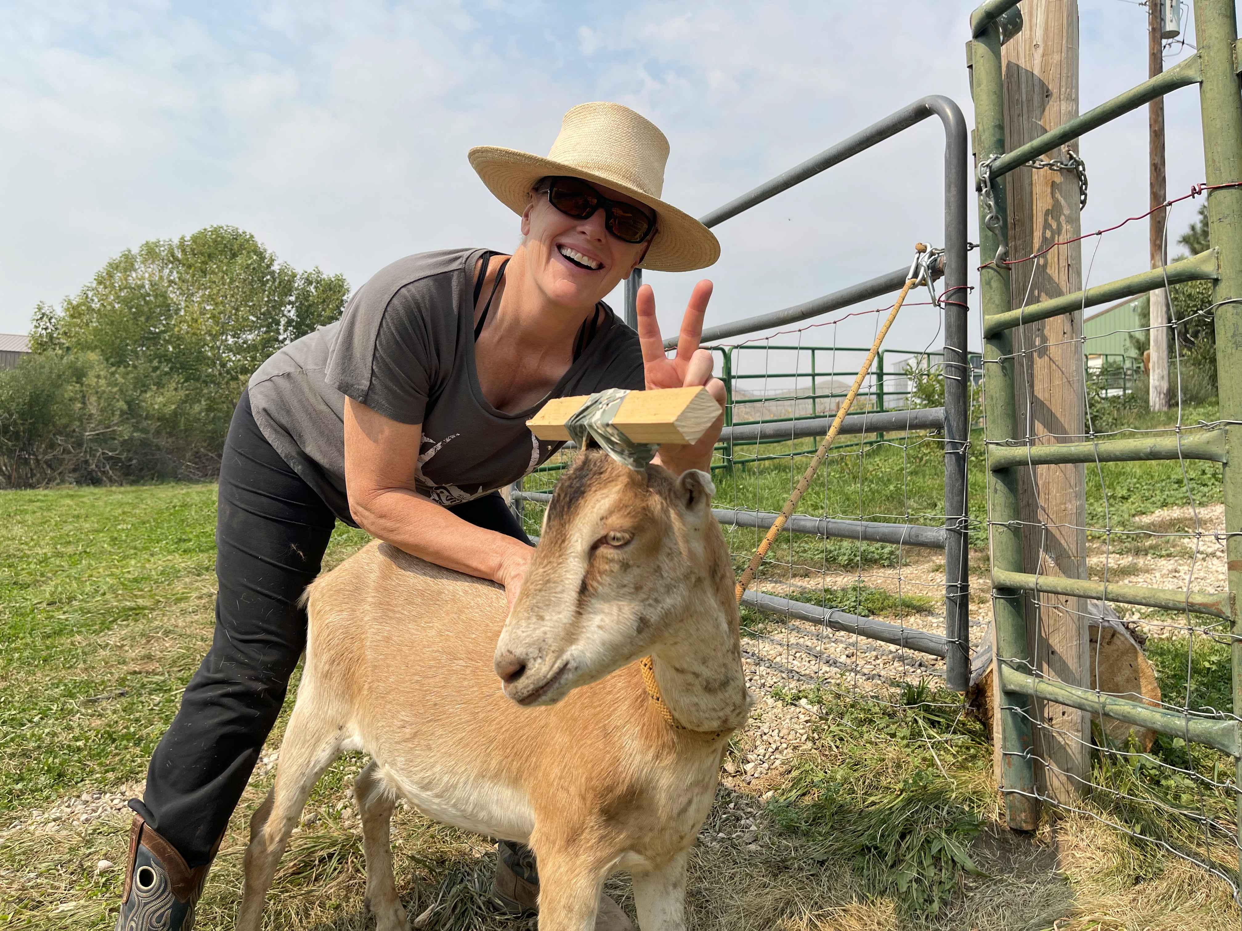 INFORMATIONAL PRODUCTS – Pack Goats