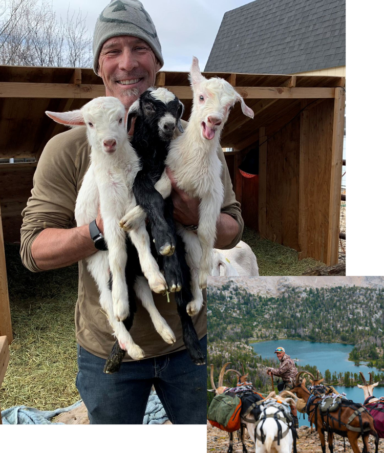 Buy Goat Kids For Sale | Reserve Baby Goats - PackGoats.com – Pack Goats
